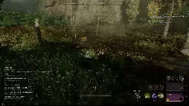 New World - FRESH старт новых серверов. Задания, Подземелья, Прокачка профессий #1