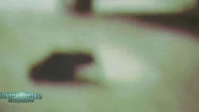 КАК ЗАЩИТИТЬСЯ ОТ НАПАДЕНИЯ ЛЮБОЙ СОБАКИ