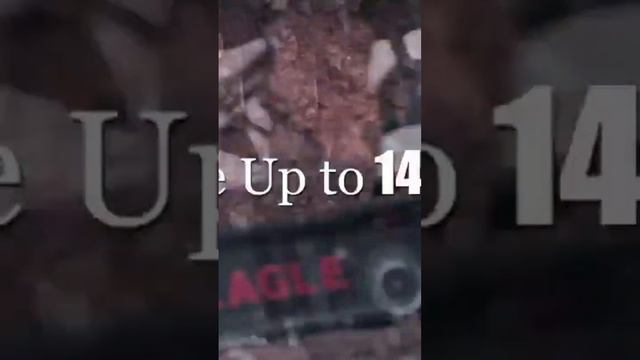 Удивительные технологии (электрический скейтборд)