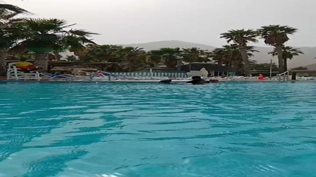 #shorts DUBAI 2021.Sandy Beach Hotel & Resort 4*.Фуджейра. Бассейн .
