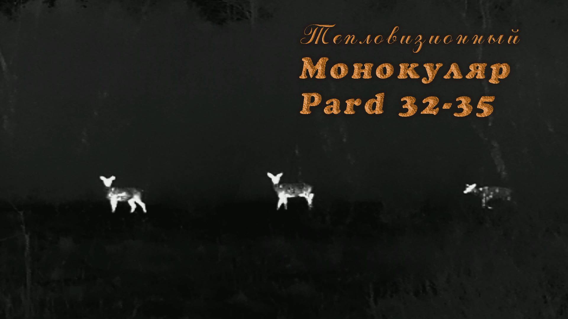 ТЕПЛОВИЗИОННЫЙ МОНОКУЛЯР PARD TA 32 - 35. Тест в поле ч.2.