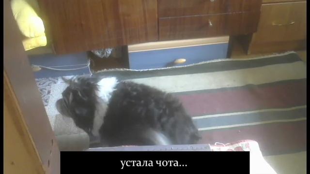 Зарядка для хвостика