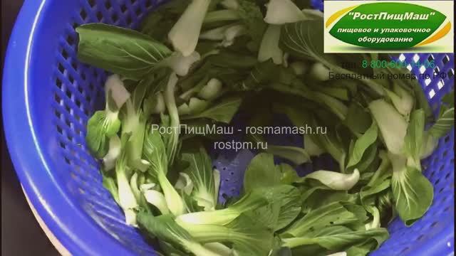 Осушитель овощей и зелени DTS-500