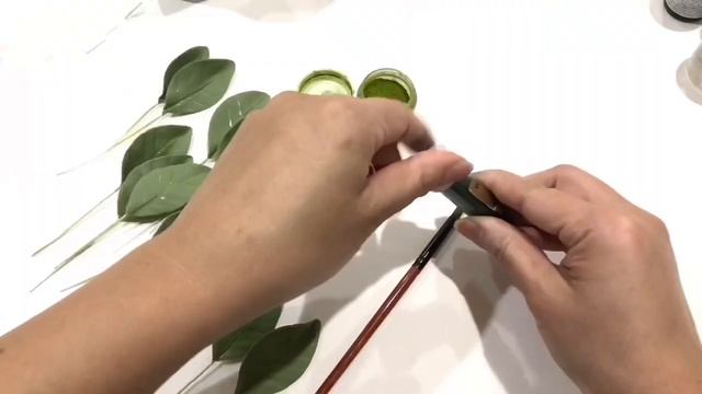 Учебные пособия по жевательной резинке с черникой