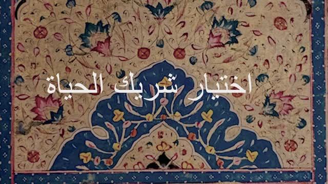 Выбор спутника жизни