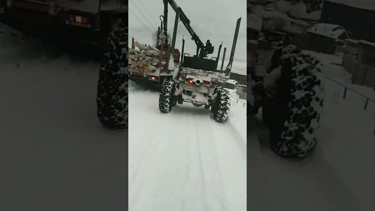 Соседу привезли дрова!