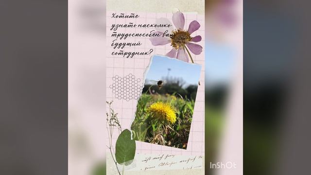 4 касты людей.