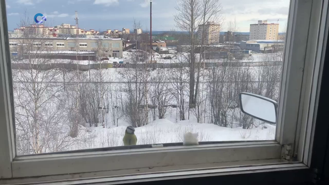 В Карелию придёт потепление