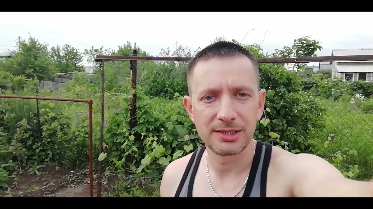 Вторая важная обработка винограда и его подкормка