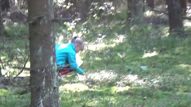 Сбор грибов Volkov Style 8