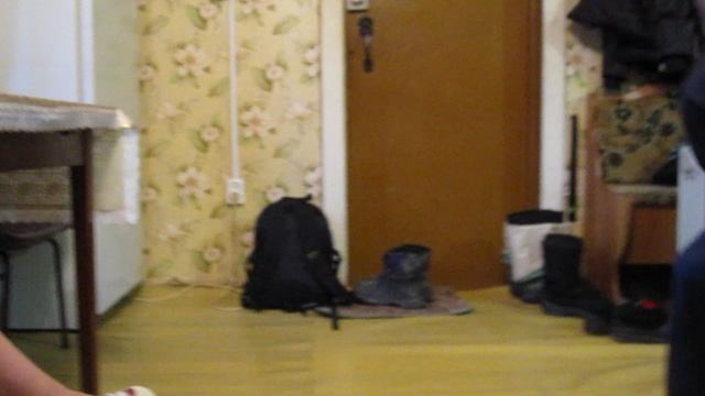 ЕгорычЪ и котик