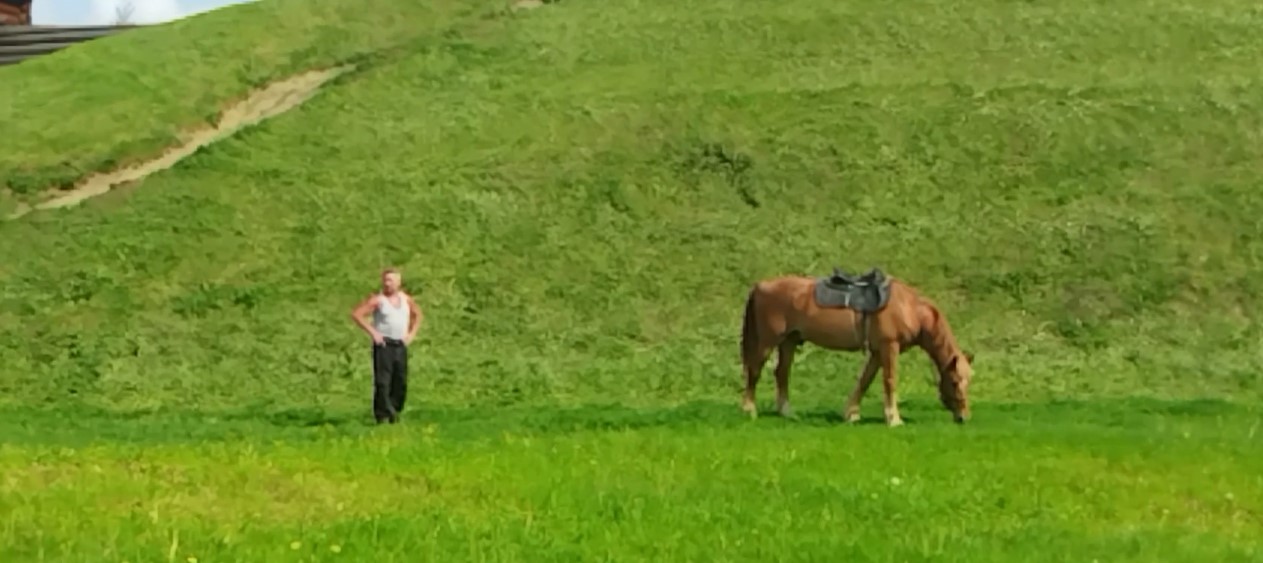 Лошадь пасётся в центре Дмитрова