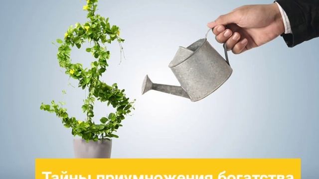 тайны приумножения богатства