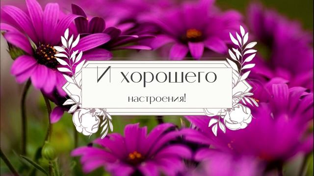 Видео-поздравление с Днем Рождения Девушке! Скачать бесплатно поздравление для Девушки!