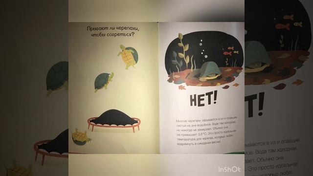 Аудиокнига по произведению Этты Канер Пьют ли лягушки горячее какао.mp4