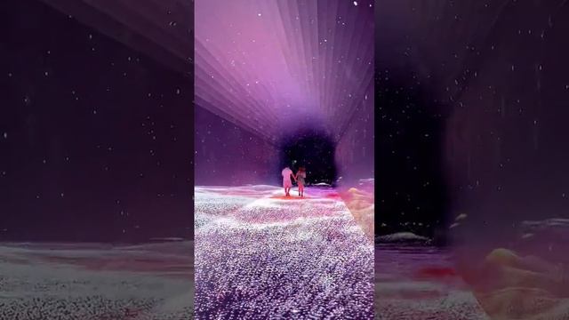 VID_20221217_192700_439.mp4