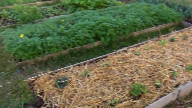 Ищем ножницы и красим домик.