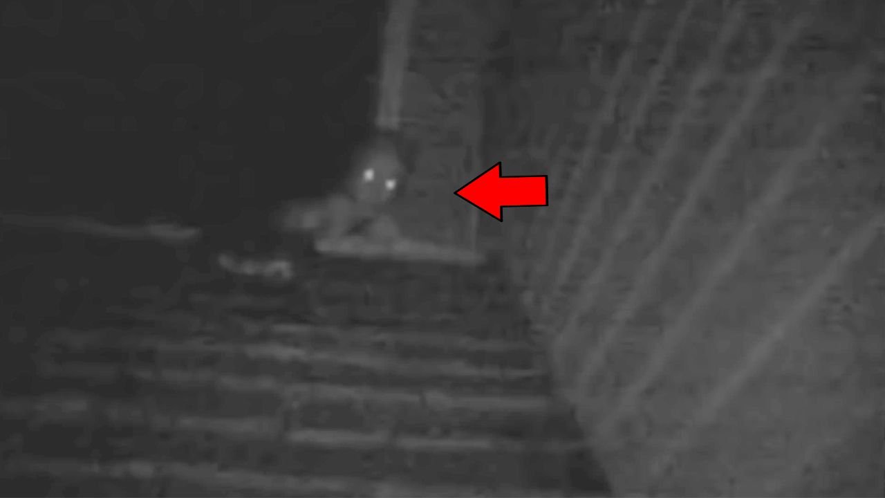 Страшные Видео и Страшилки От Которых Вы Не Уснете