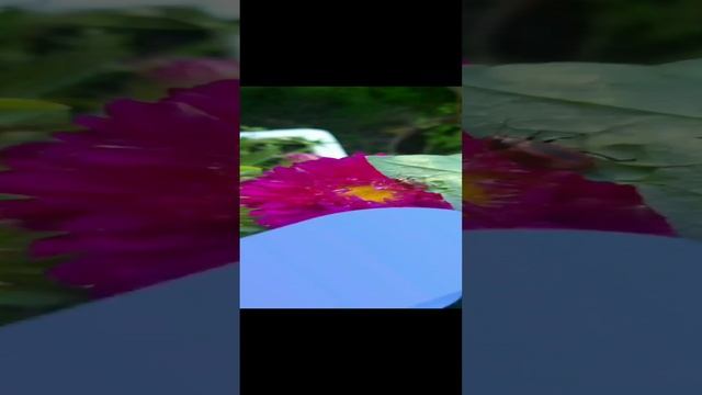 Красота...📸👍