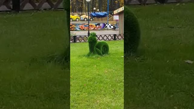 #shorts Даманский парк