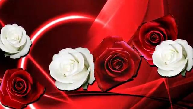 БЕСПЛАТНО футаж розы3.mp4