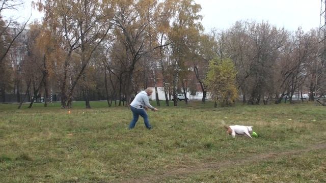 Ф.Фристайл Светлана и Ютта.mp4