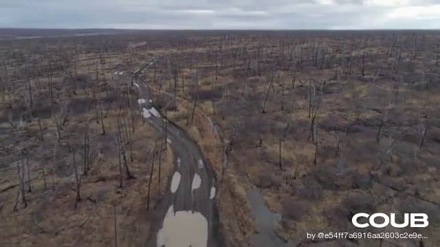 Америка / USA / U.S.A.