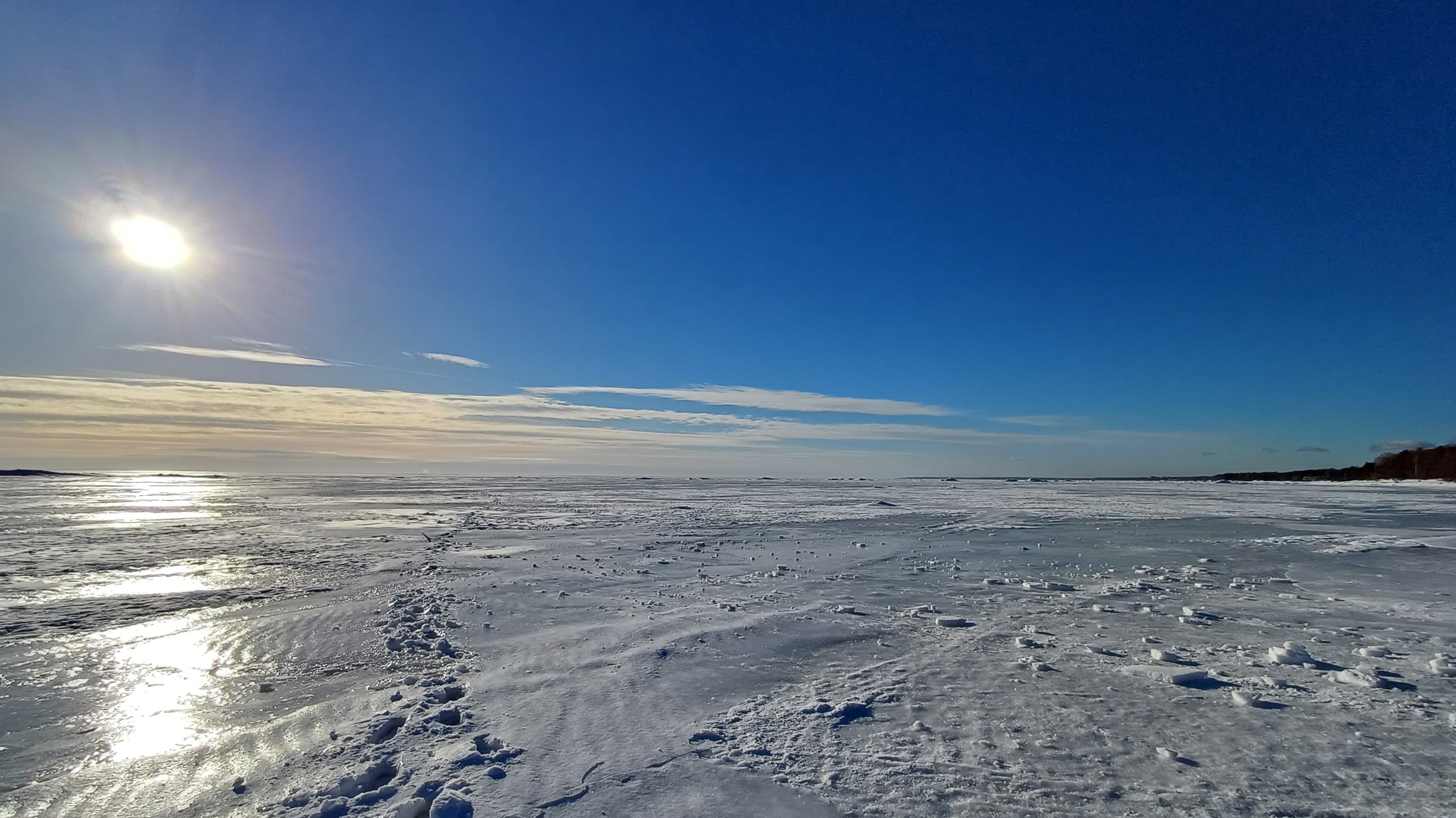 Комарово. Финский залив 2024.02.19