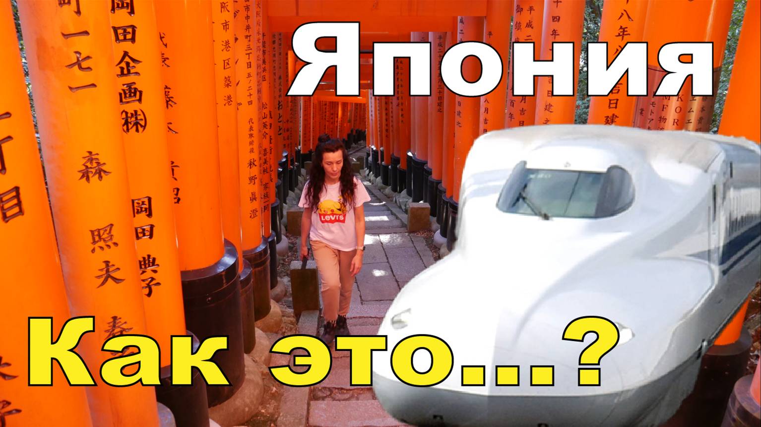 Япония. Самое интересное что я увидел в этой стране.