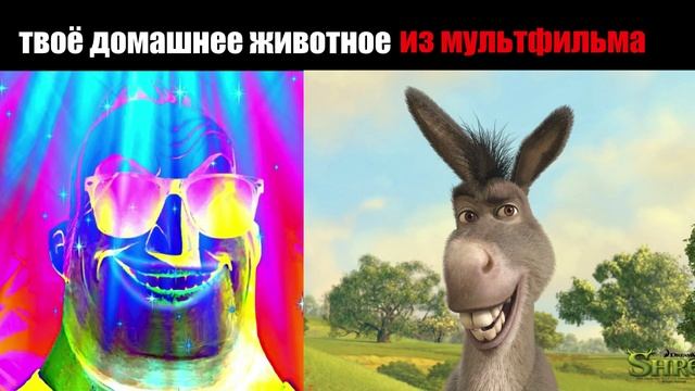 Когда твоё животное из мультфильма:  (мем мистер Исключительный)