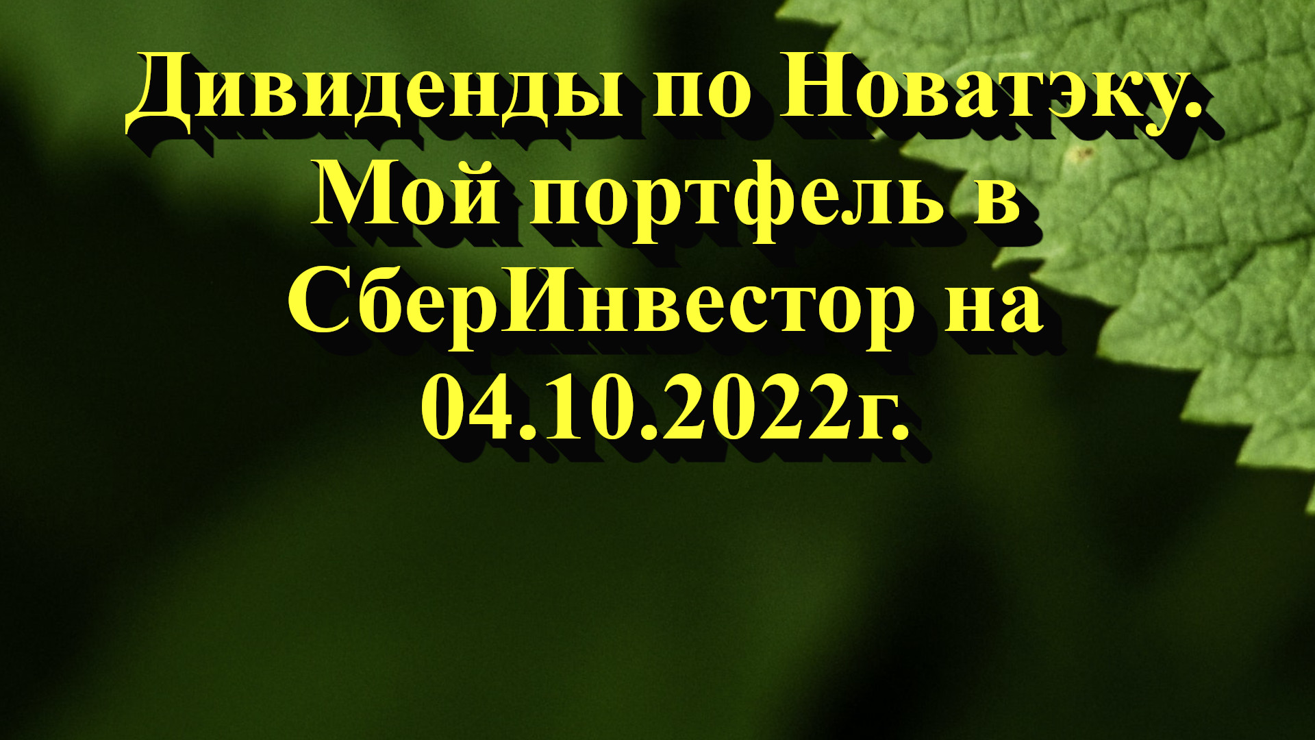 Дивиденды по Новатэку. Мой портфель в СберИнвестор на 04.10.2022г. Не является инвест. рекомендацией