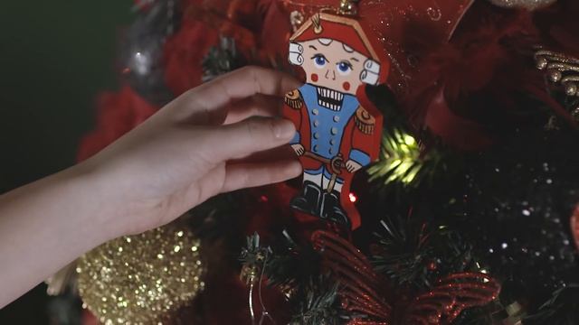 Путешествие в Рождество.