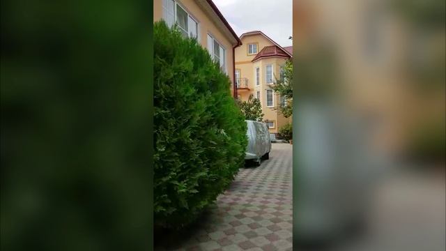 СДЕЛКИ БЕЗ ГРАНИЦ АНАПА 2024