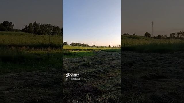 вечер в деревне #evening in the village #звукиприроды