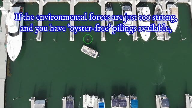 Техника управления парусным судном - Швартовка - Docking Tips_ Wind and Current