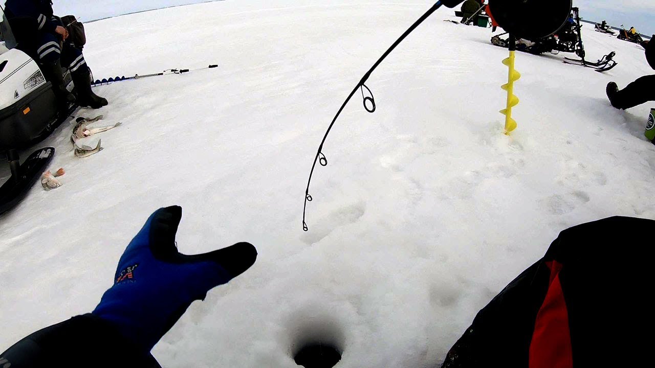 ХАПОК на закрытие сезона!!! Ловим СУДАКА на блесны и вибы _ Обское водохранилище раздает