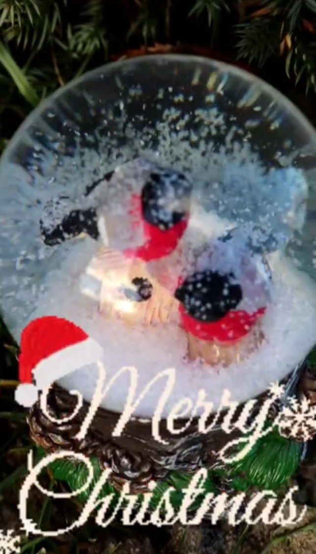 С  РОЖДЕСТВОМ  ХРИСТОВЫМ !!!