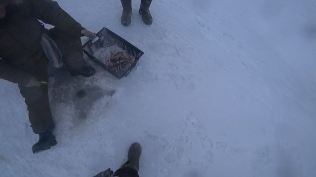 За окунем в непогоду.