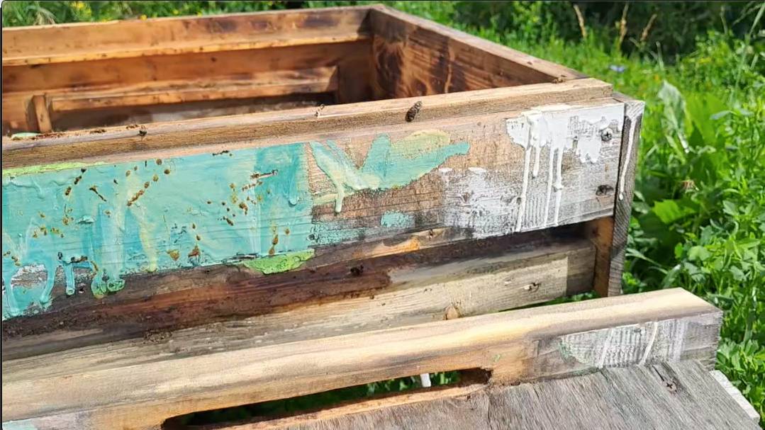 Вентиляция на основной медосбор по Кашковскому. Противороевой карман по Русину