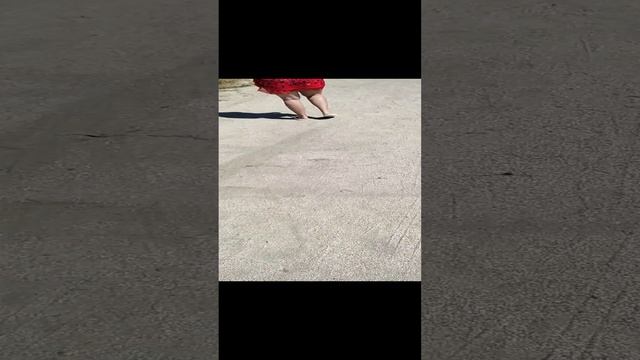 Отдых в Седово на море и на пляже божьи коровки )