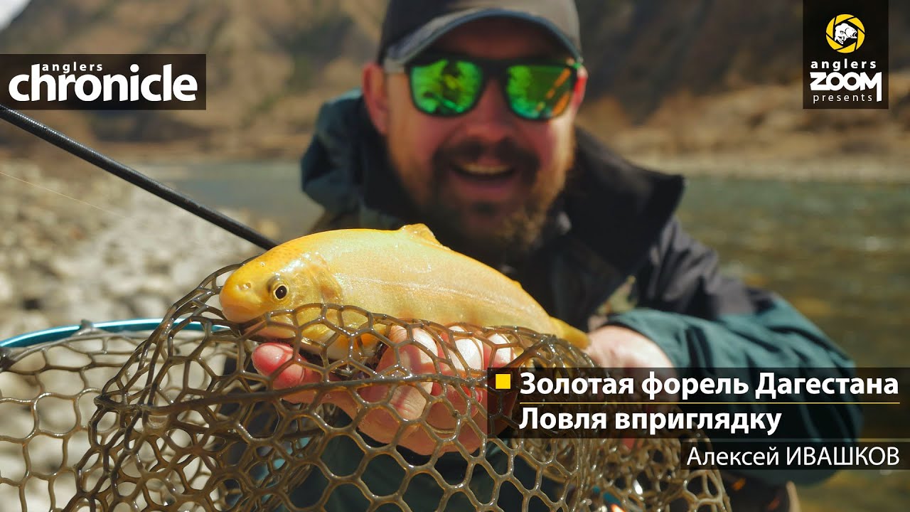 Золотая форель Дагестана. Ловля вприглядку. Алексей Ивашков