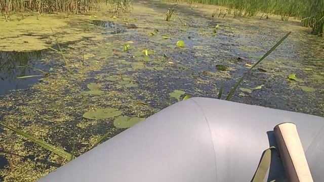 Проходимость болотохода 7 сил.