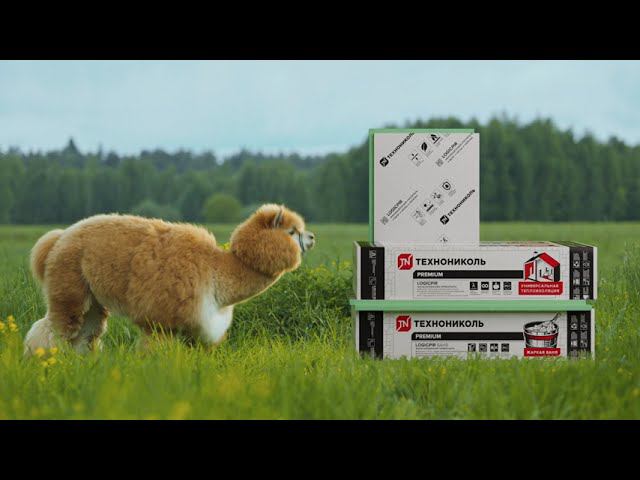 Промо LOGICPIR Альпака