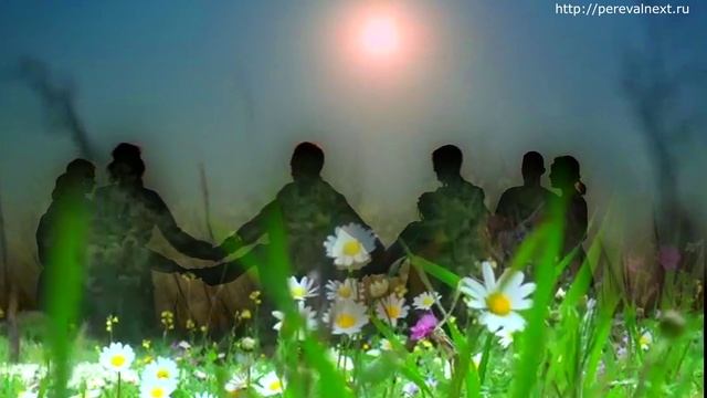 Небушко (Кветка Мара)