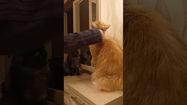 Красота страшная сила!)))