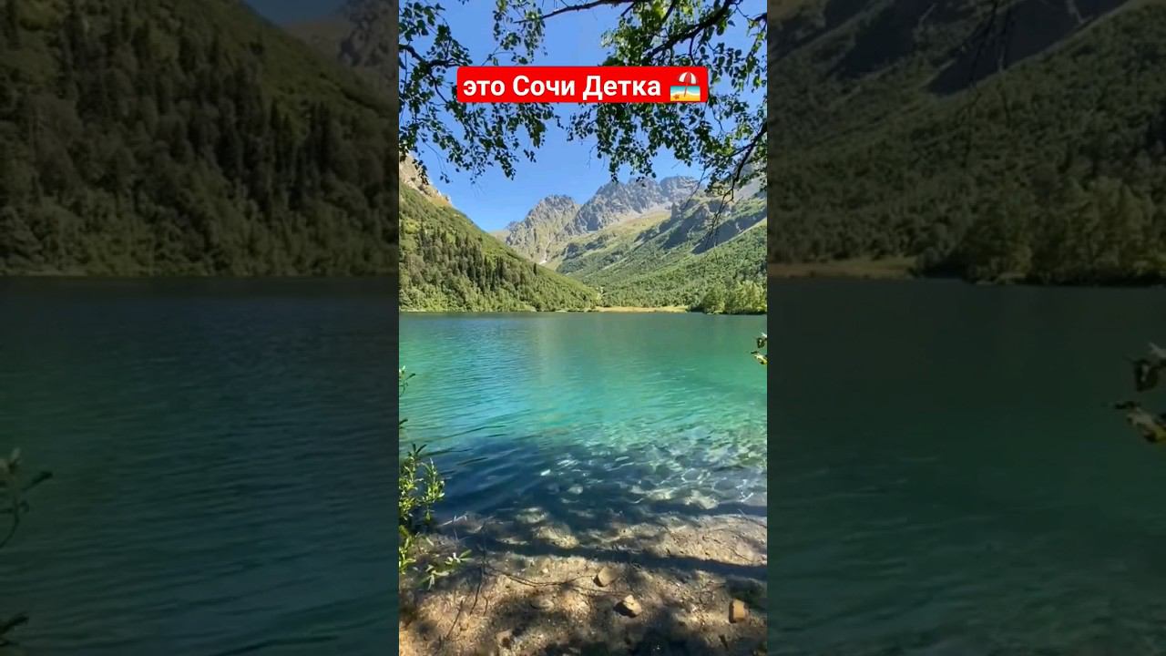 это Сочи детка ️ #shorts #сочи