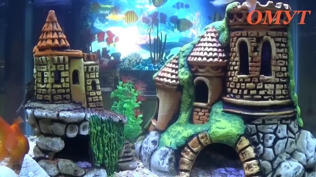 401. ВСЁ ПРОШЛО ДОСТОЙНО РОДНЫЕ!!!