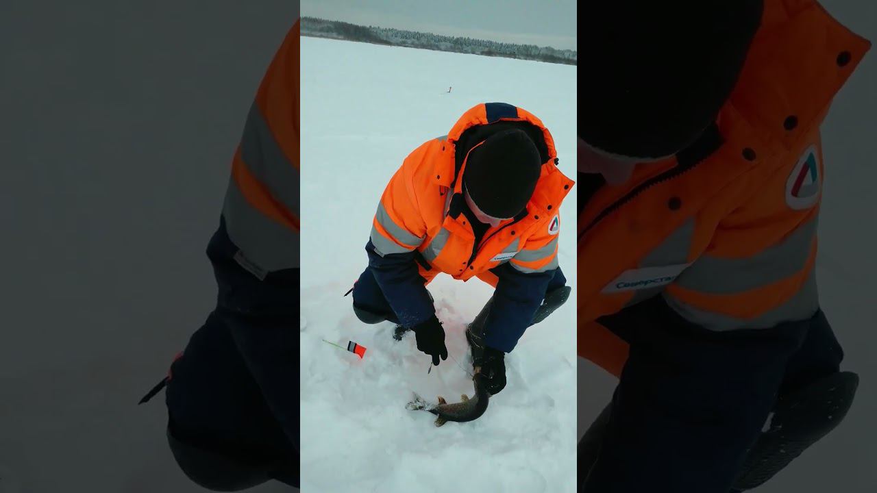 Зимняя рыбалка!!!Щука на жерлицы на Рыбинском водохранилище!!!