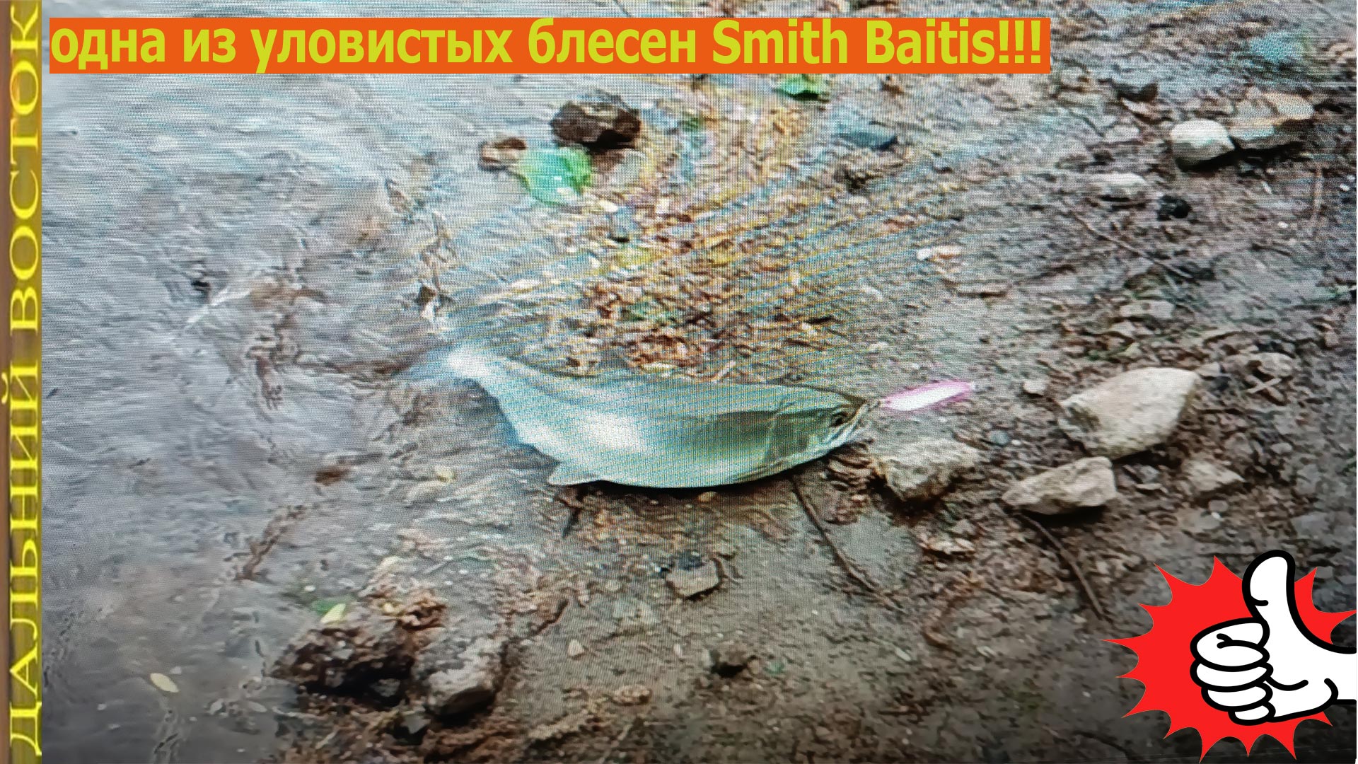 Shorts# Рыбалка на колебалку Smith Baitis. Поклевка горбуши.avi