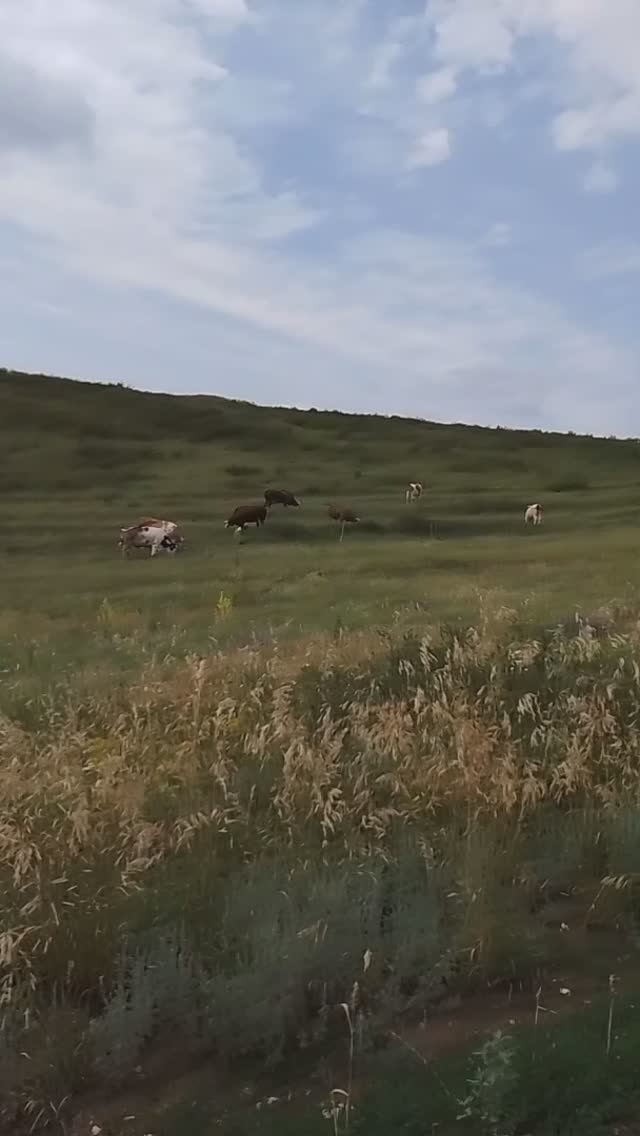 прогулка в горы, это шутка
